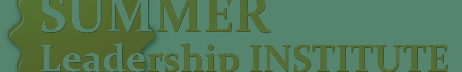 Summer Leadership Institute