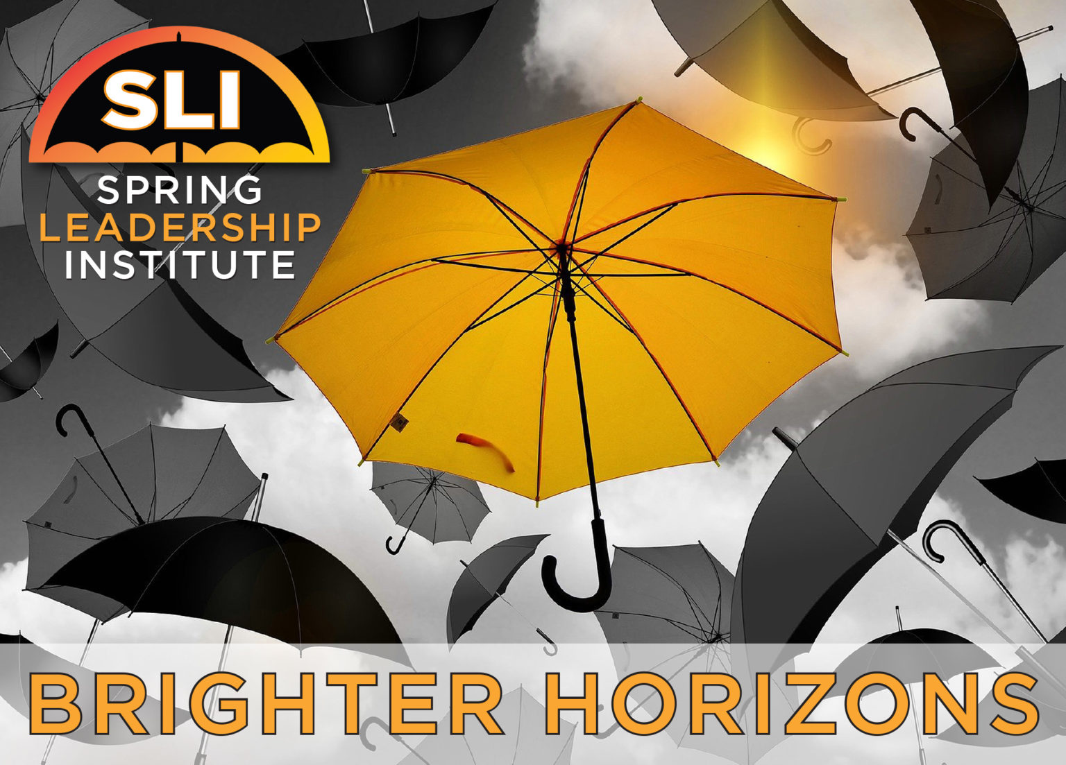 Spring Leadership Institute